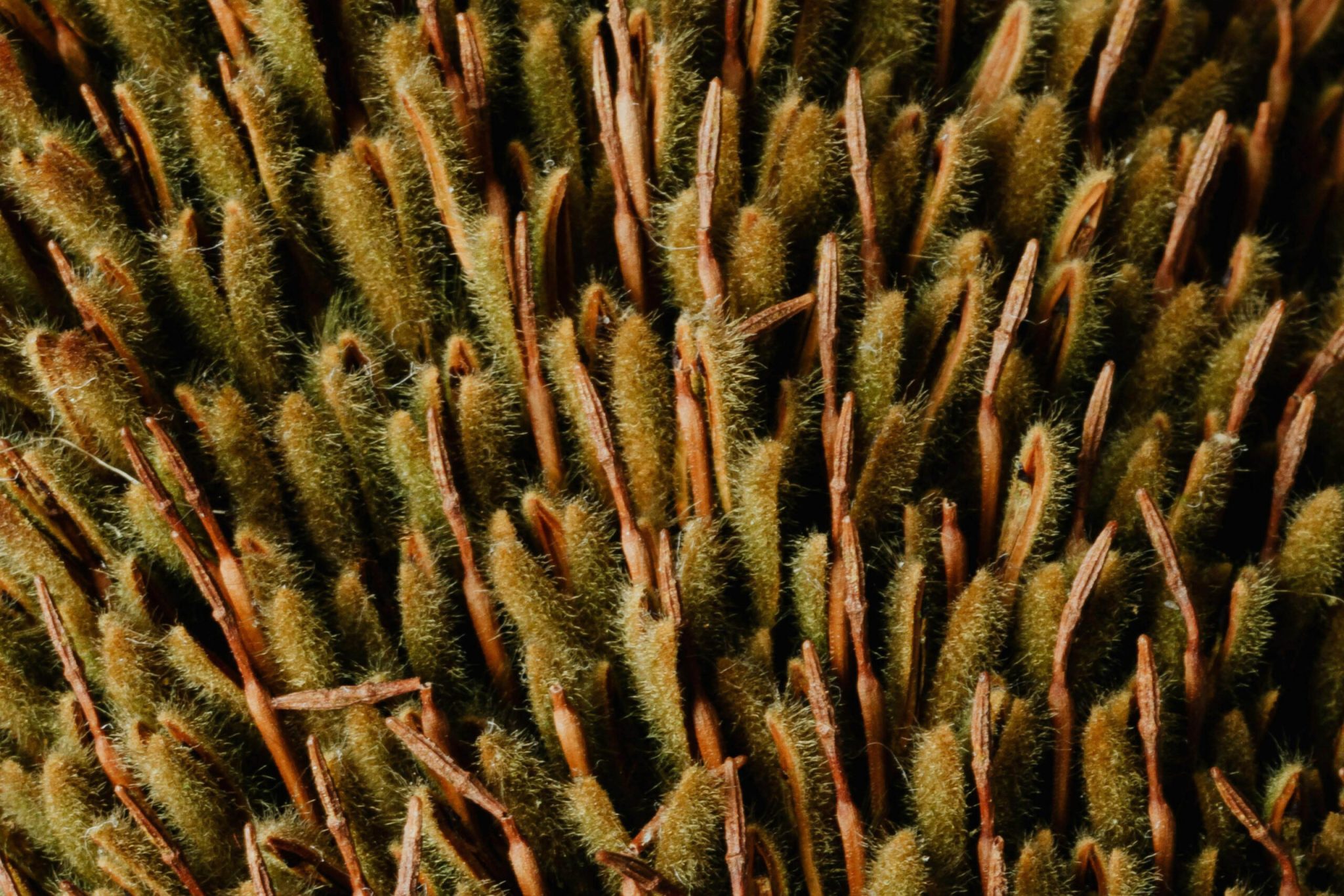 Six Key Strategies to Apply Intersectionality in Practice at Work and ...